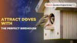 Attract Doves with the Perfect Birdhouse (April 2026)